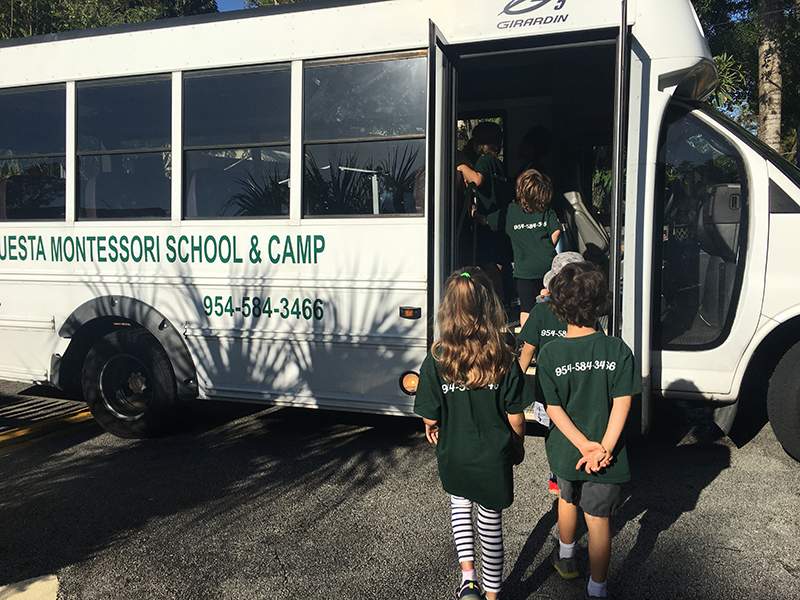 Exploring The Benefits Of Sending Your Child To Summer Camp - Summit ...