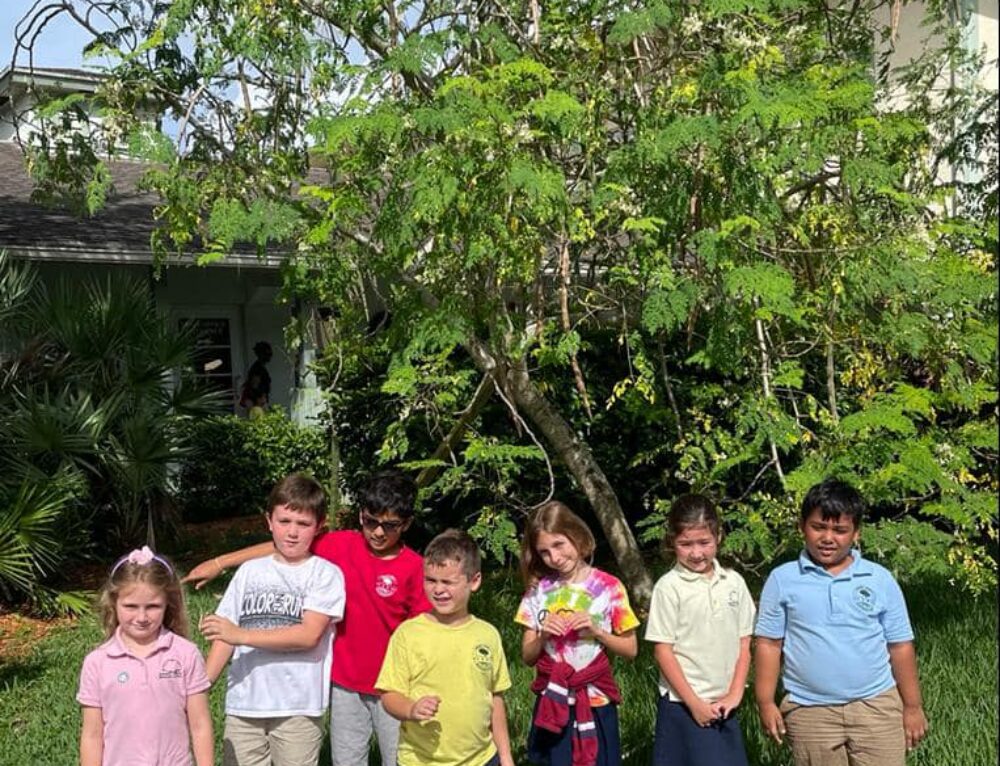 Summit Questa Montessori School - Summit-Questa Montessori principal ...